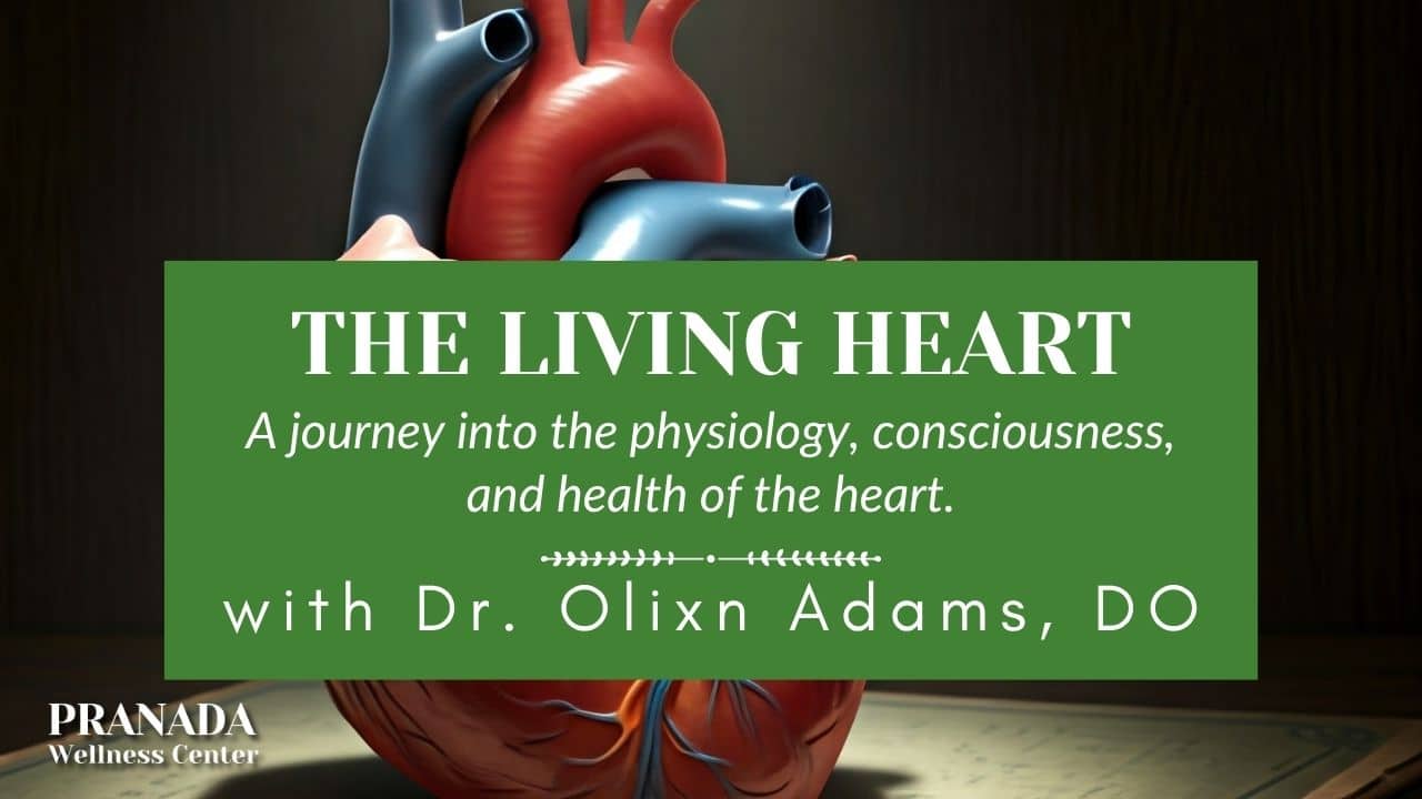The Living Heart: A journey into the physiology, consciousness, and ...